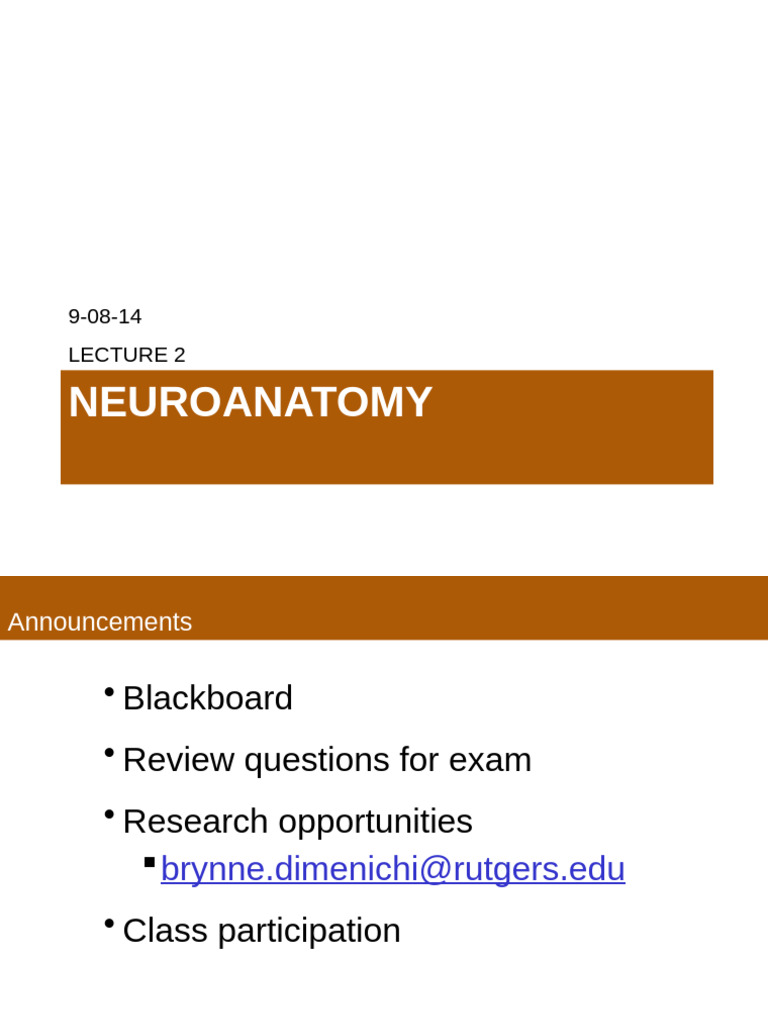 Lecture 1 - NeuroAnatomy | PDF | Central Nervous System | Neuron