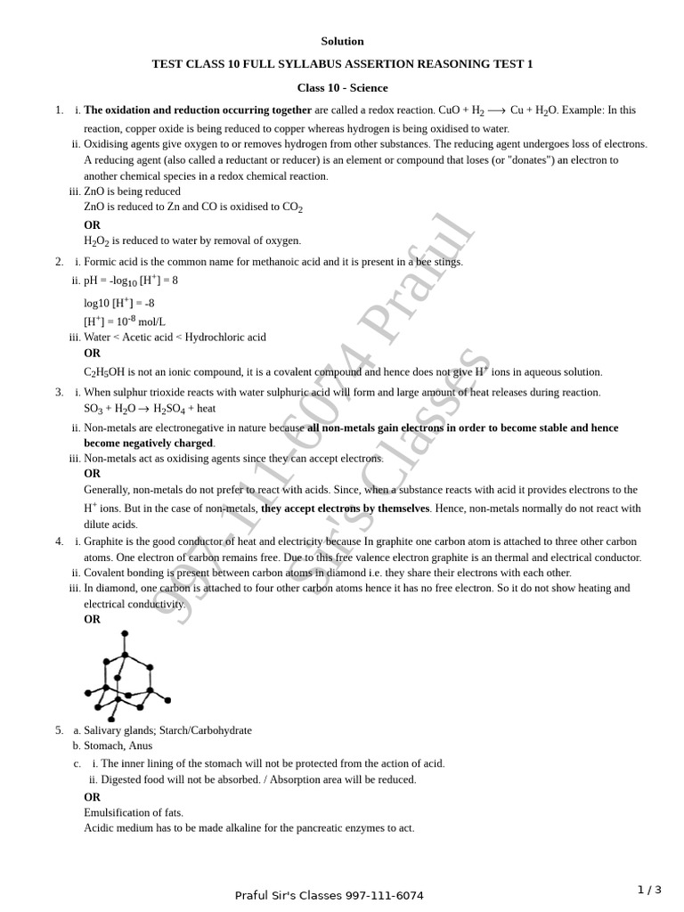 Class 10 Science Redox & Photosynthesis Test | PDF | Redox | Applied ...