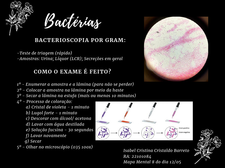 Bacterioscopia por Gram: Passo a Passo | PDF