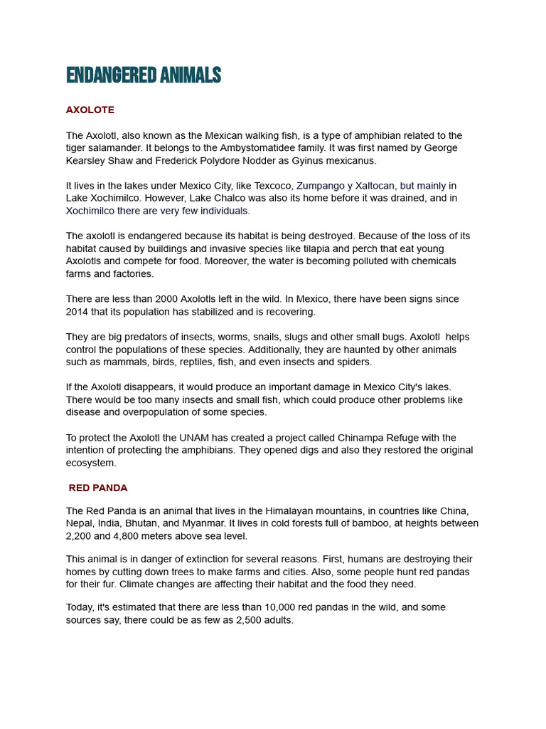 Endangered Species: Axolotl & Red Panda | PDF | Natural Environment ...