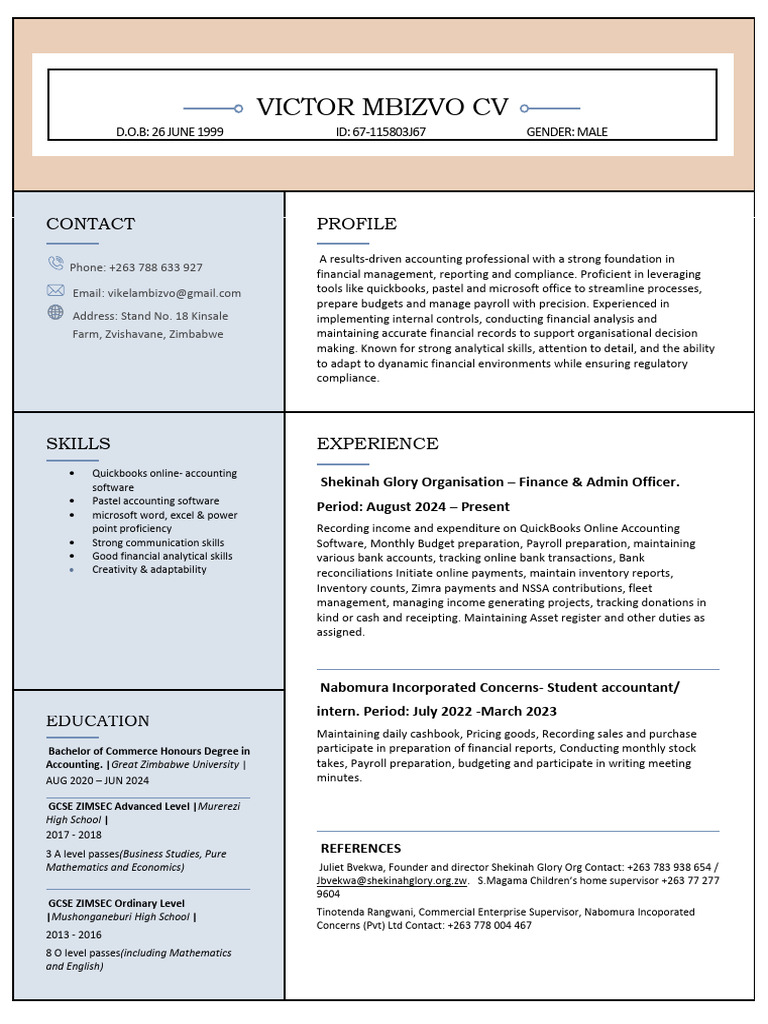 Victor CV | PDF | Quick Books | Business