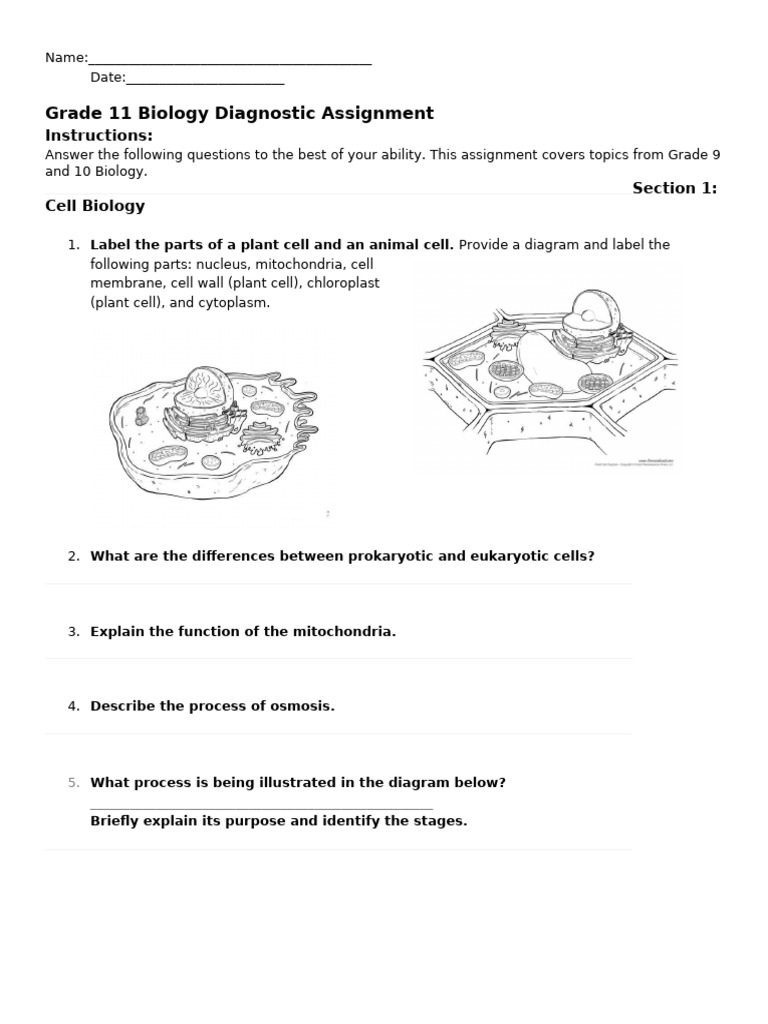 Biology - Diagnostic and Information Sheet | PDF | Biology | Cell (Biology)
