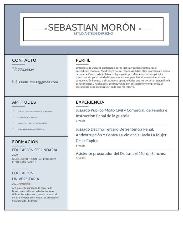 CurrÃ_culum en Columnas | PDF