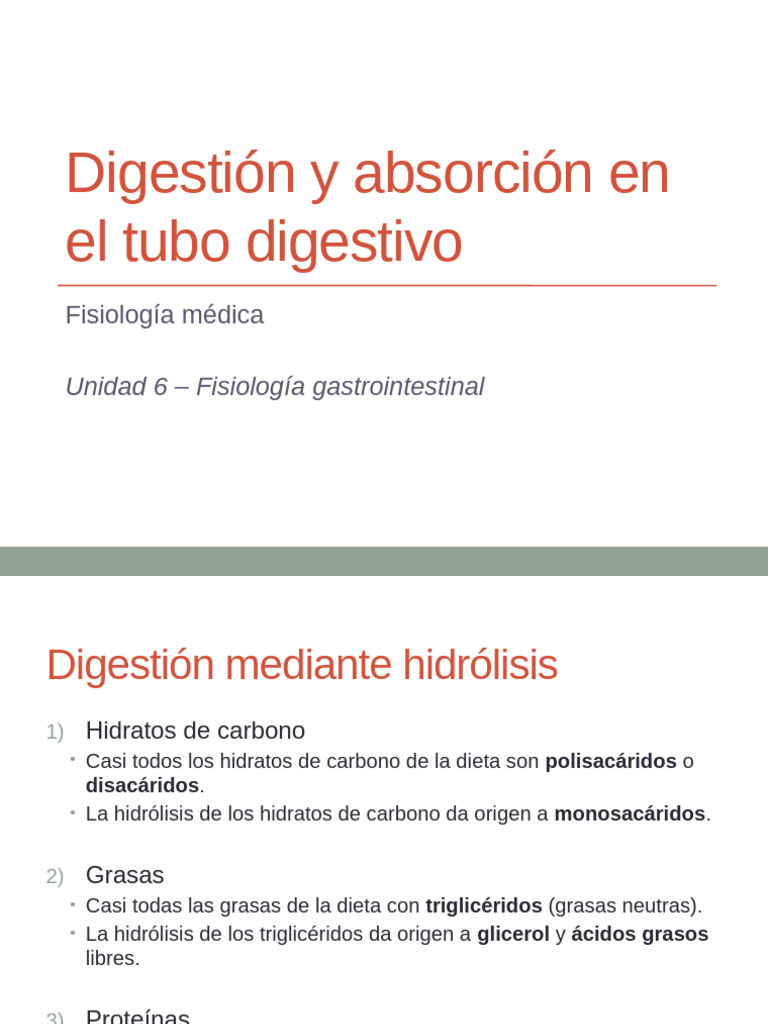 Tema 37 - Digestion y Absorcion | PDF | Digestión | Carbohidratos