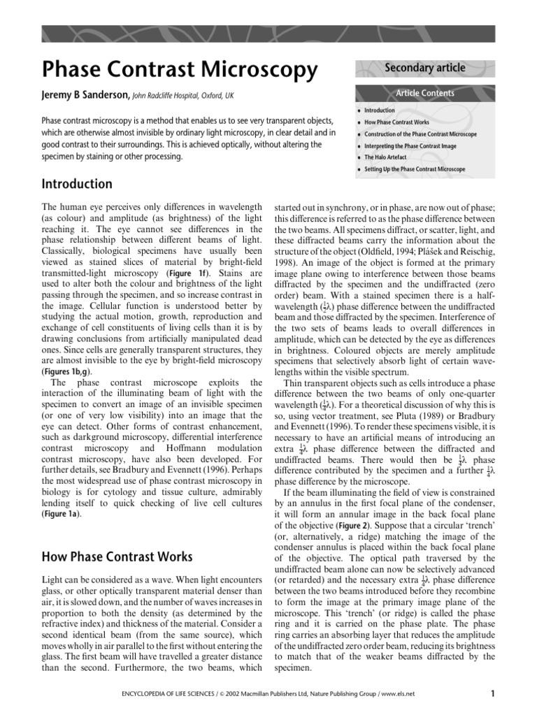 Understanding Phase Contrast Microscopy | PDF | Microscopy | Microscope