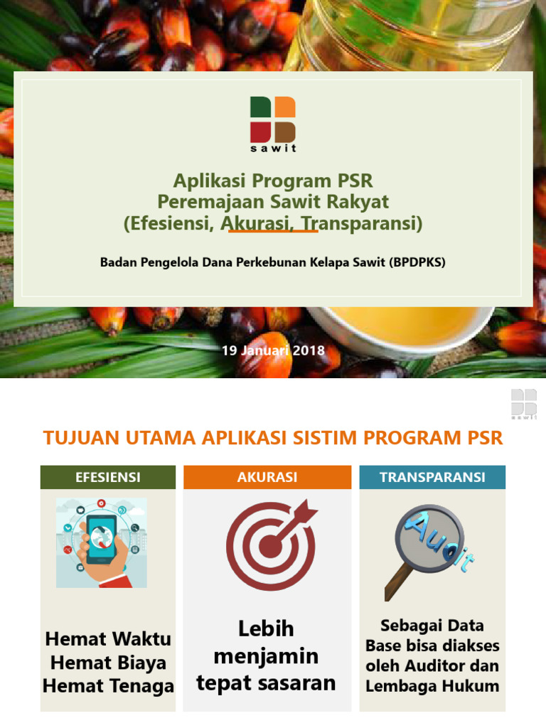 Paparan APLIKASI SISTEM Program PSR | PDF