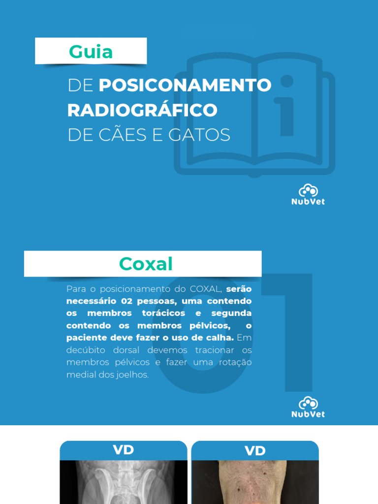 Posicionamento Radiográfico em Cães e Gatos | PDF