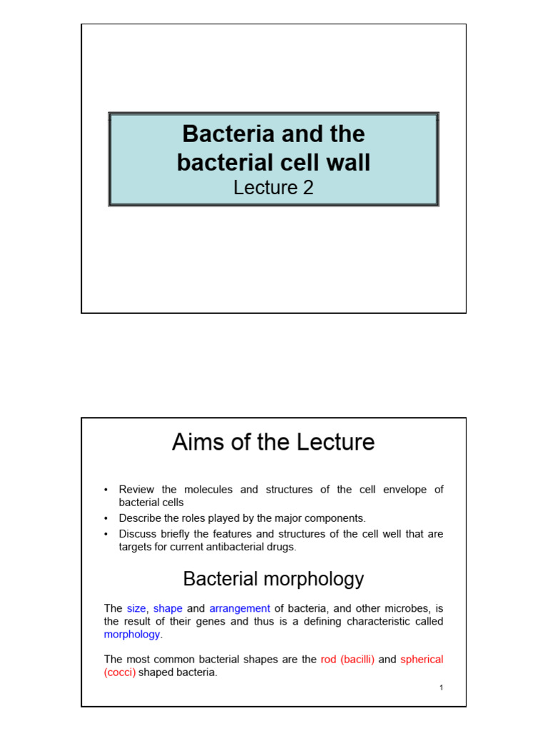 Antiinfectives - 2010 - Lecture 2 | PDF | Bacteria | Lipopolysaccharide