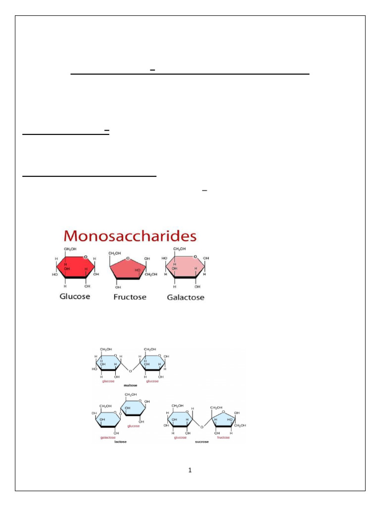 Grade 9 Biology: Biological Molecules Summary | PDF | Carbohydrates ...