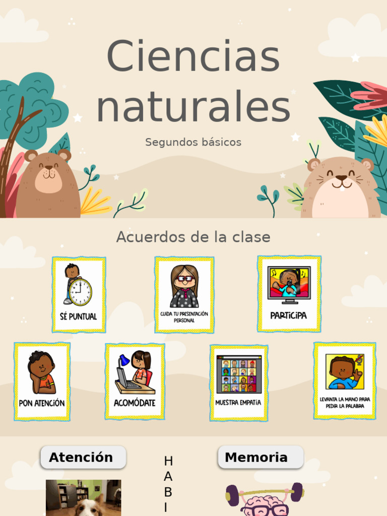 El ciclo de vida de algunos animales 23-10 | PDF