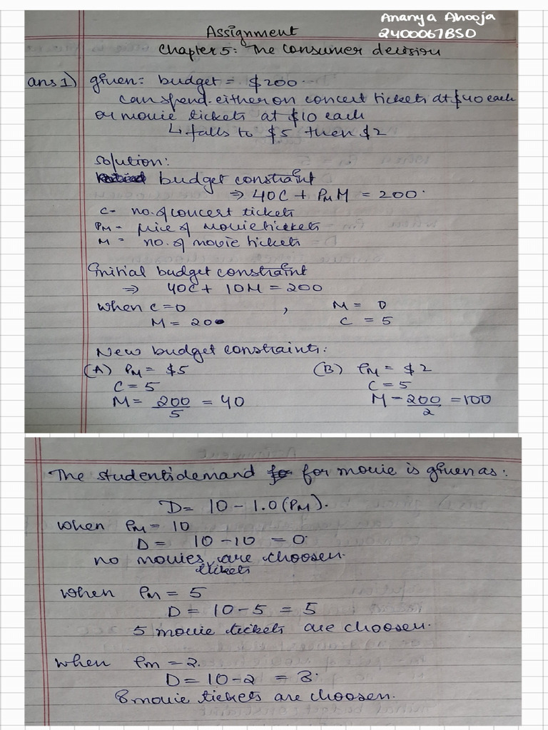 Numerical Assignment Pdf