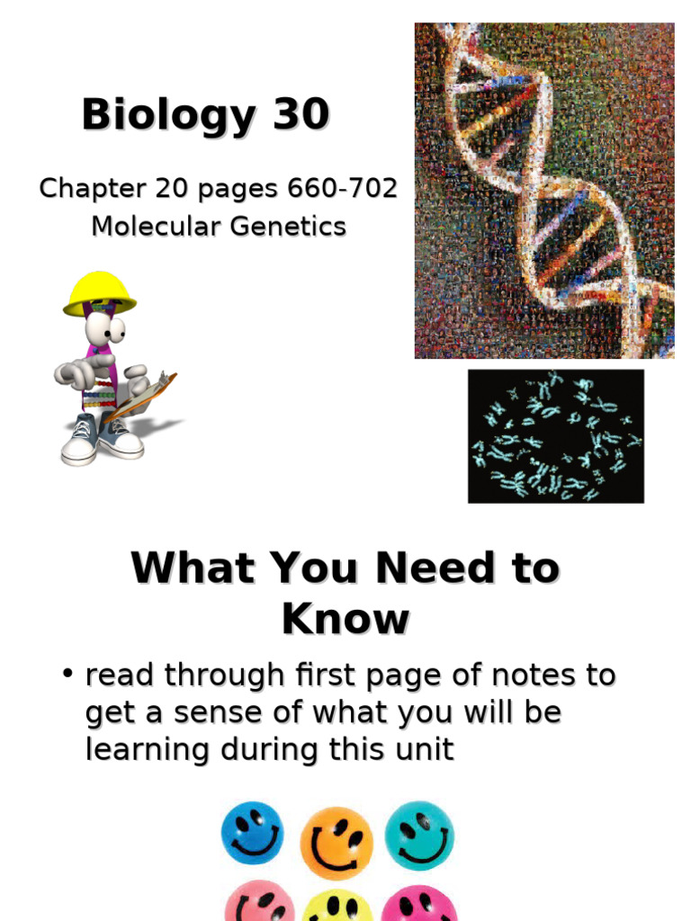 Molecular Genetics Jan 2024 | PDF | Dna Replication | Dna