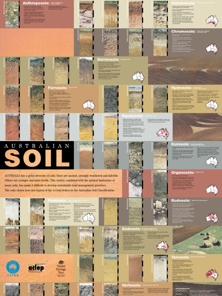 Soil Poster | PDF | Soil Fertility | Soil
