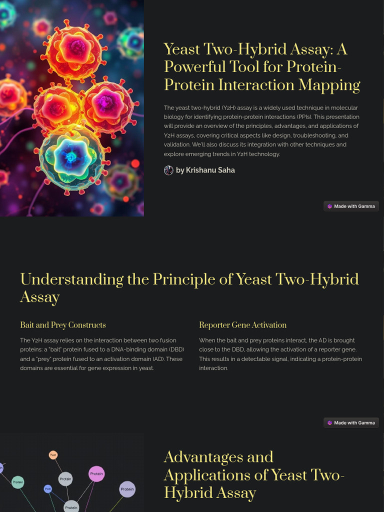 Yeast Two Hybrid Assay A Powerful Tool For Protein Protein Interaction ...