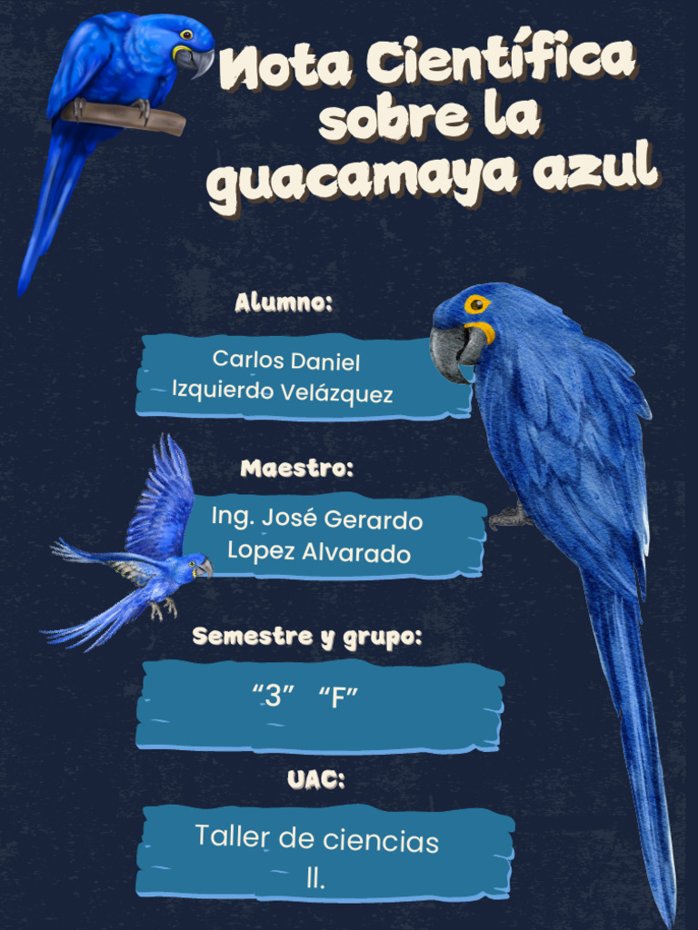 Blue Spix’s Macaw Extinction NGSS Science Educational Poster in Brown ...