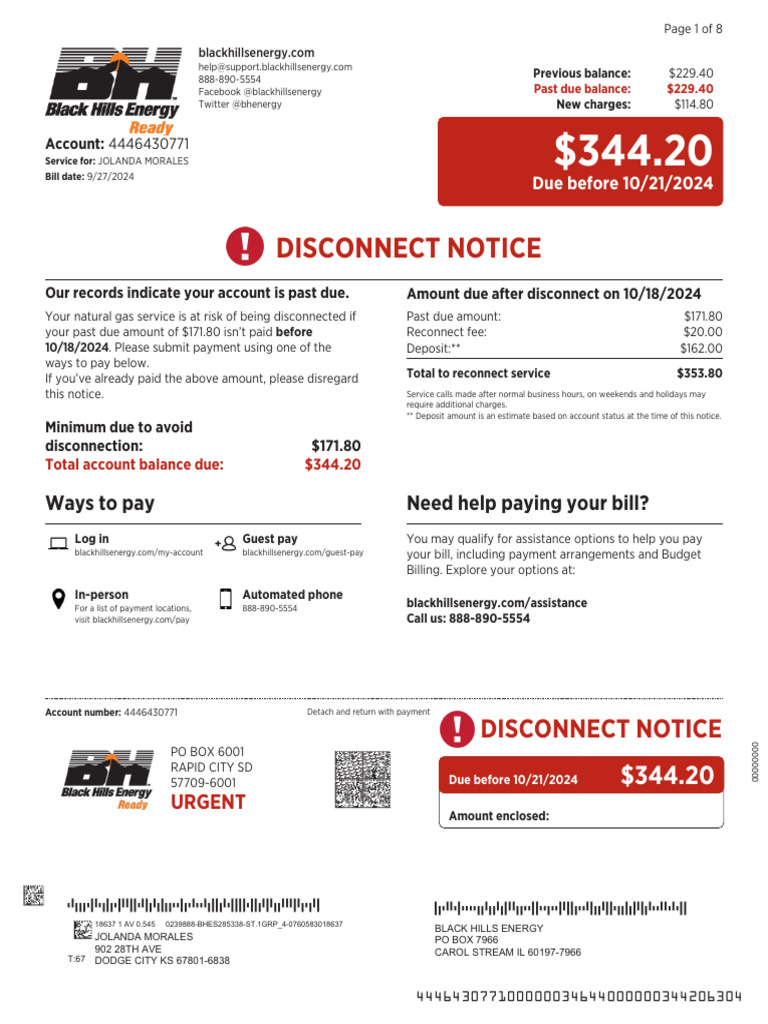 Customer Bill | PDF | Fee | Payments