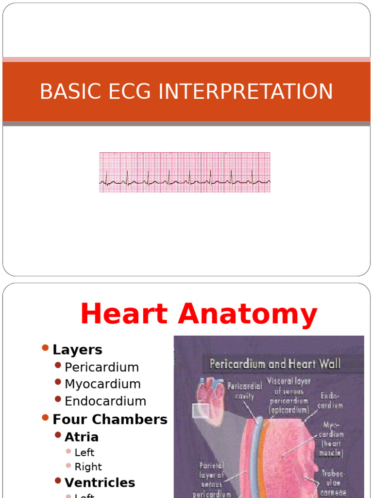 Basic ECG Interpretation MW 1 | PDF | Electrocardiography | Heart