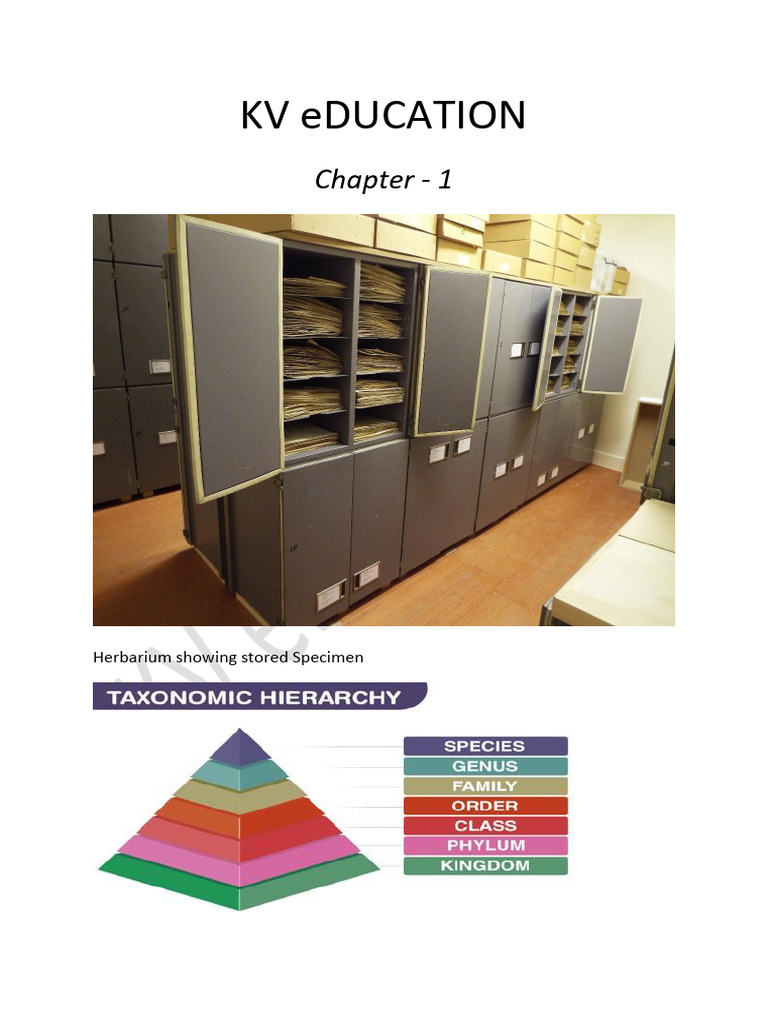 All Diagrams (Biology Ncert) | PDF | Eukaryotes | Biology