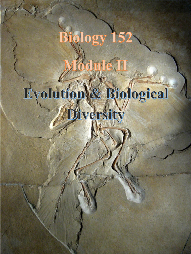 Evolution Chapter 1 | PDF | Evolution | Natural Selection