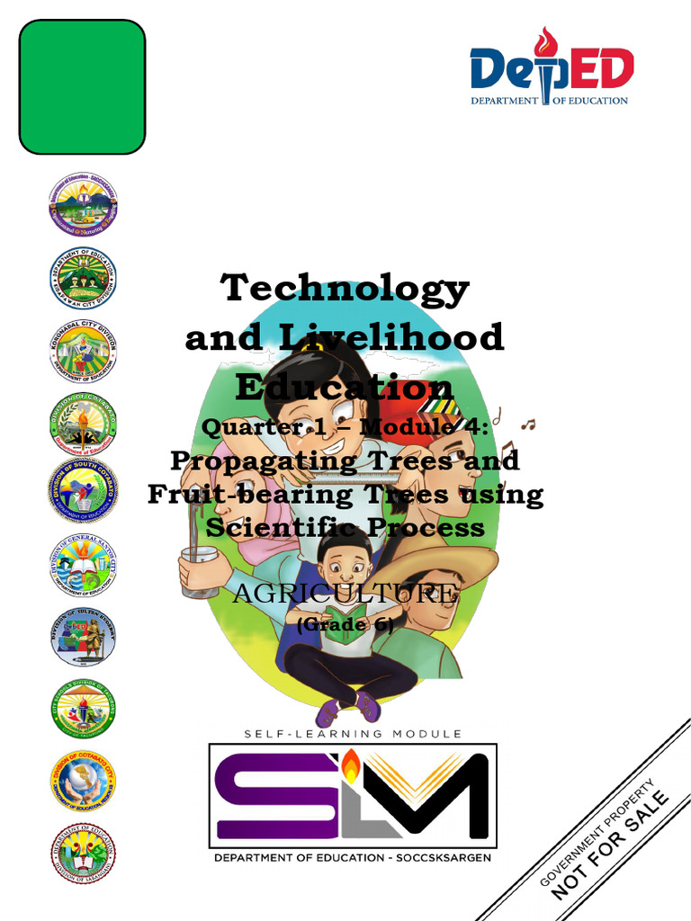 Tree Propagation Techniques for Grade 6 | PDF | Grafting | Agriculture
