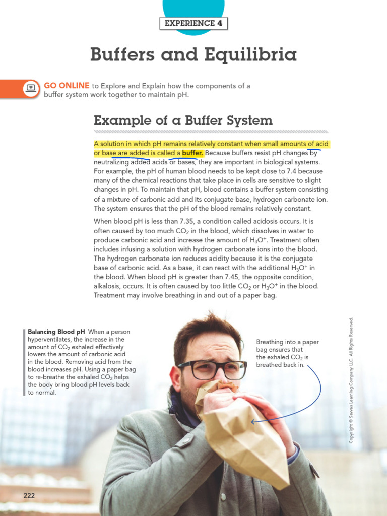 Annotated_Experience_Notebook-_Buffers_and_Equilibria-[1] | PDF ...