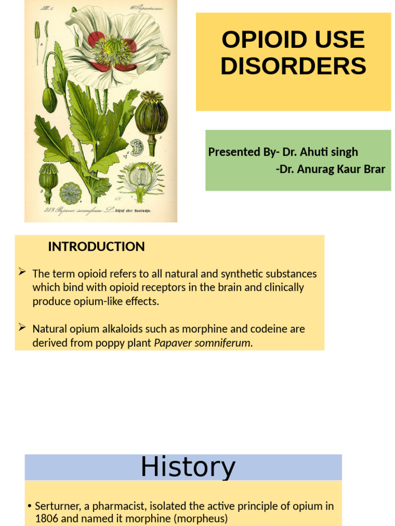 Understanding Opioid Use Disorders | PDF | Opioid | Naloxone