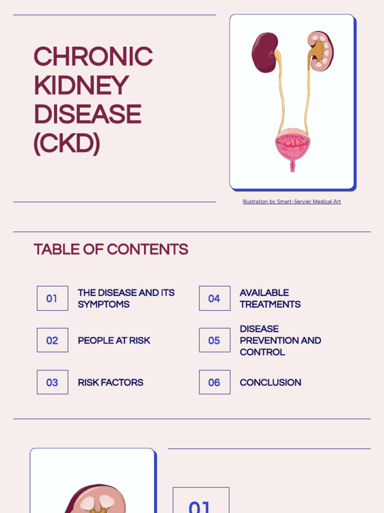 Chronic Kidney Disease (CKD) - 2 | PDF | Chronic Kidney Disease | Kidney