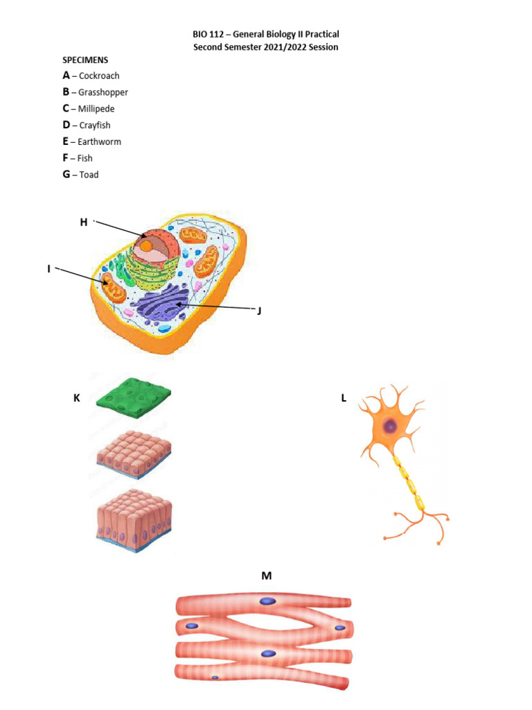 General Biology II Specimens List | PDF