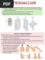 Anatomía de las Falanges de la Mano | PDF | Mano | Articulación