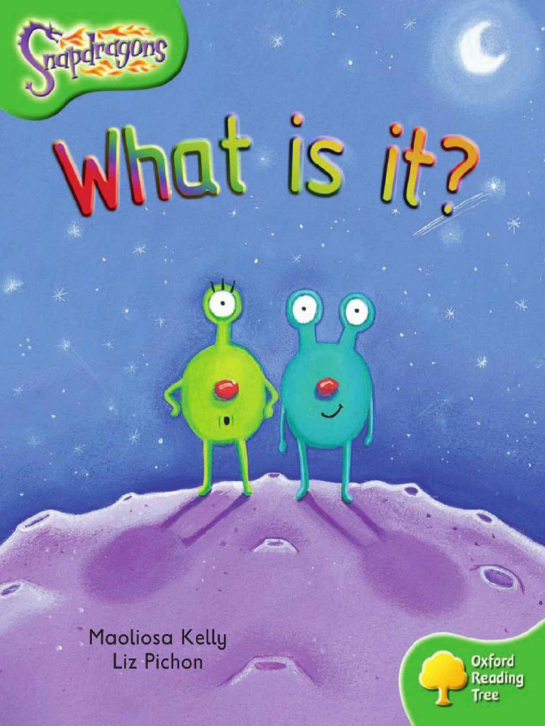 What Is It2 | PDF