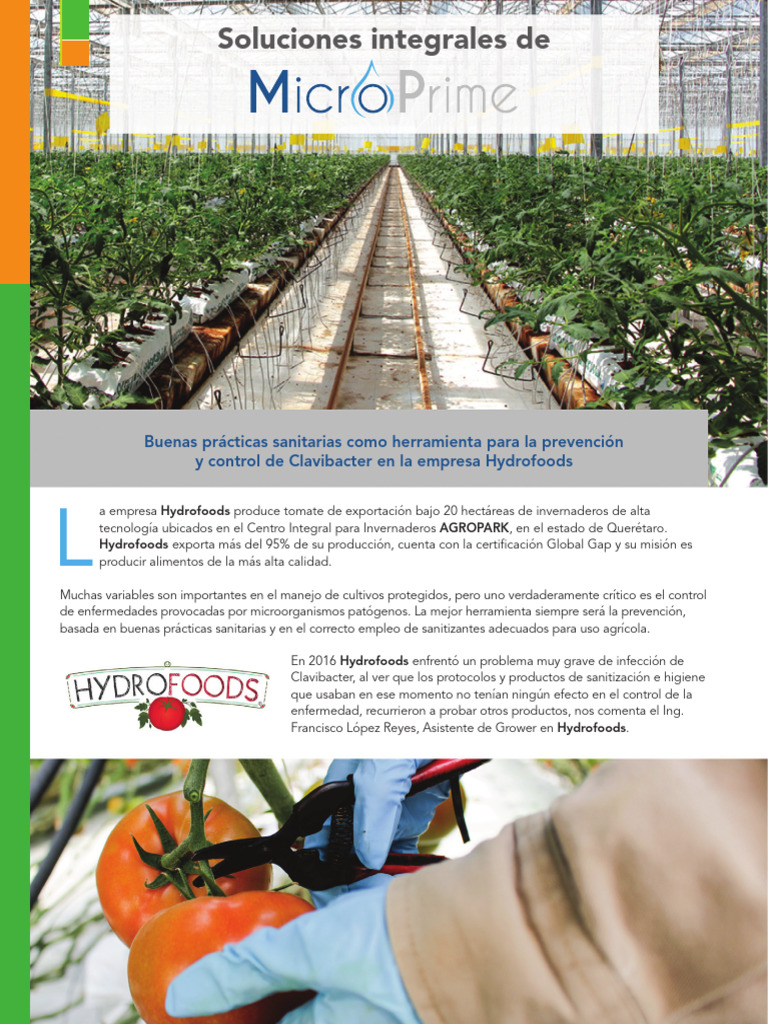 MicroPrime_Testimonio_Hydrofoods | PDF
