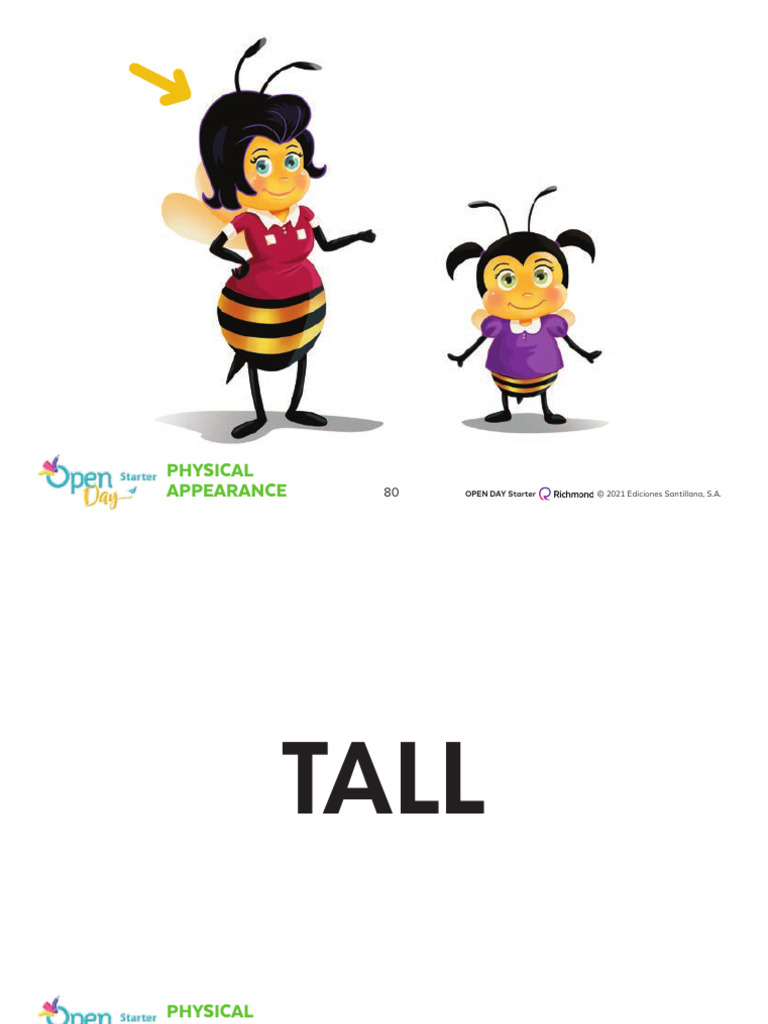 ODs_flashcards_U5 | PDF