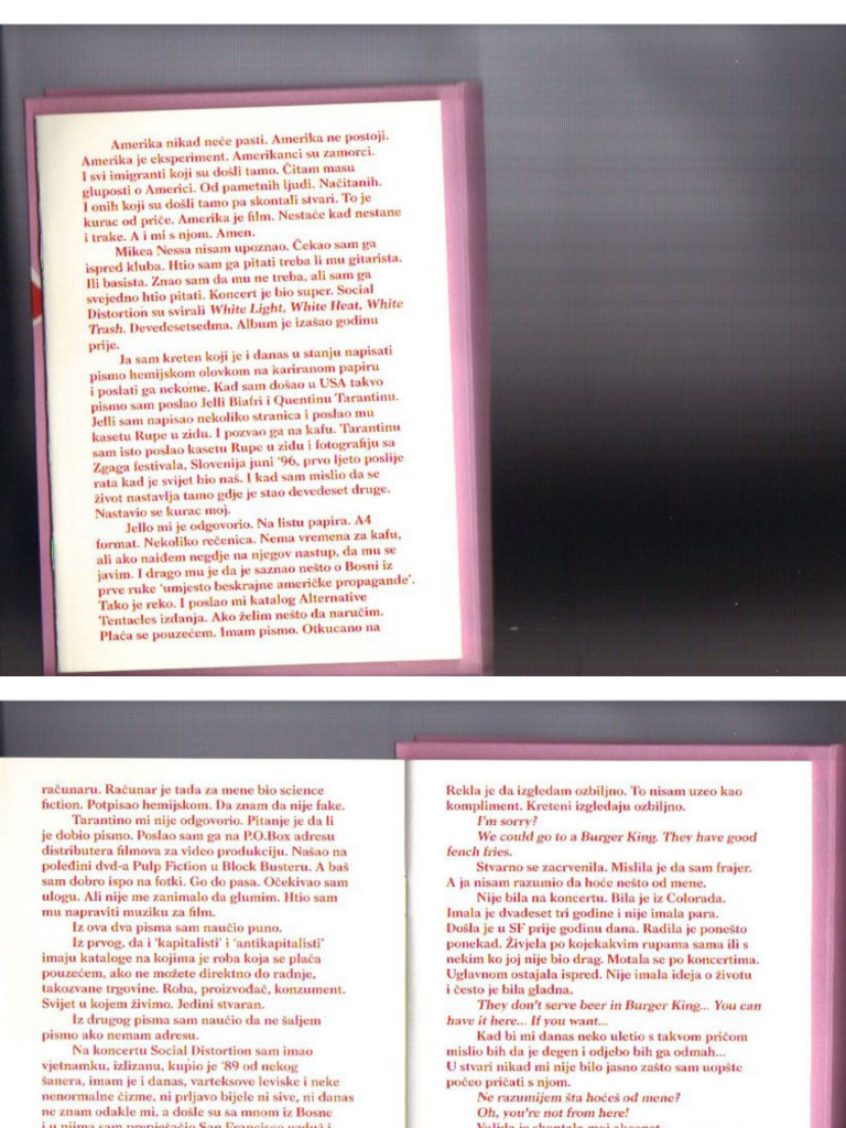 Damir Avdic - Manjina | PDF