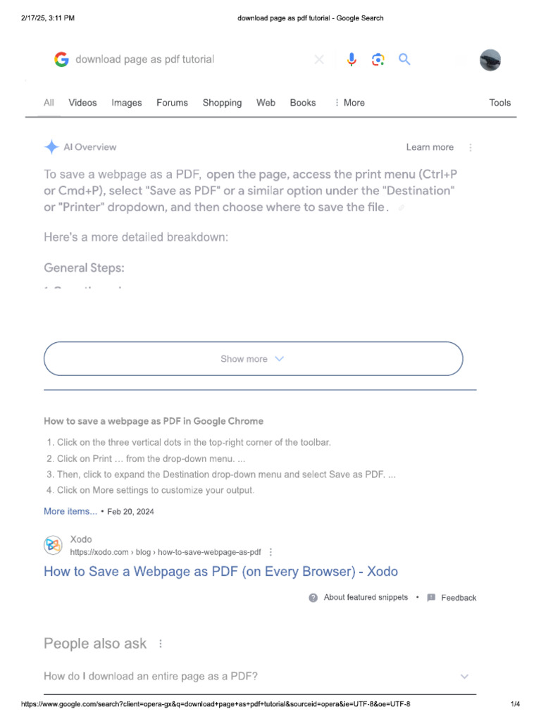 Google CTRL P | PDF