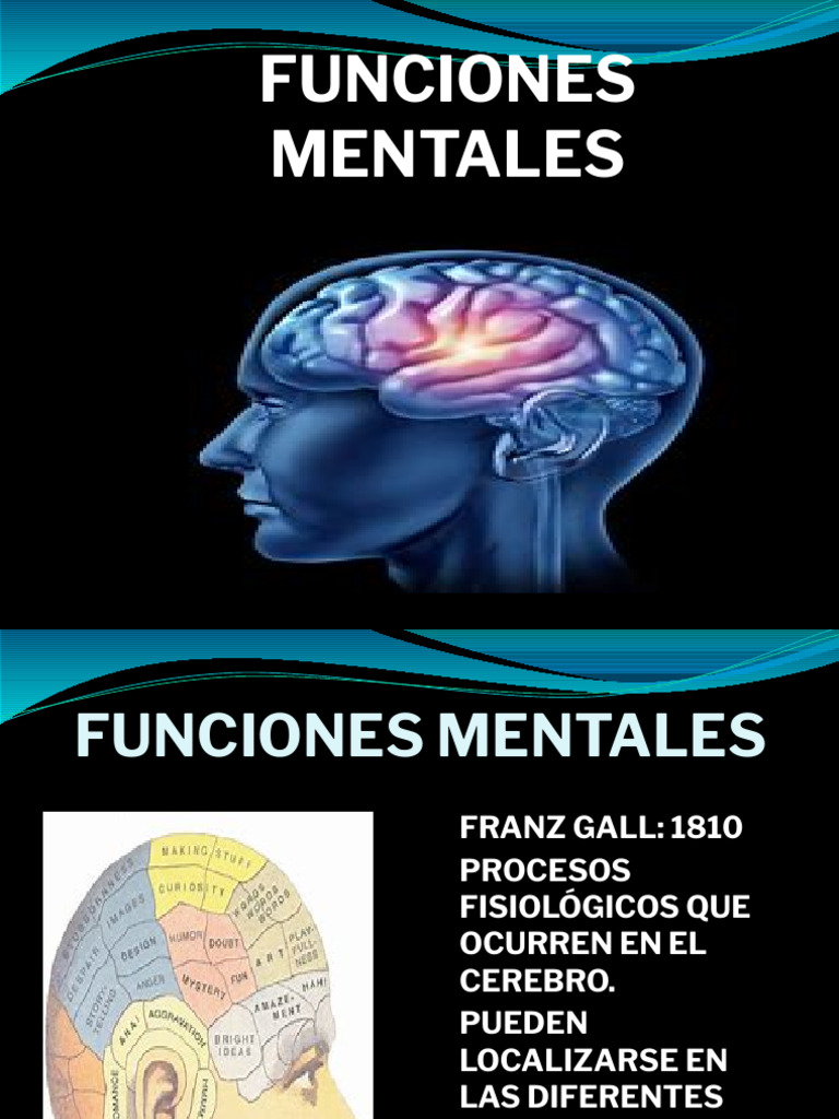 Funciones Mentales | PDF | Cerebro | Sentidos