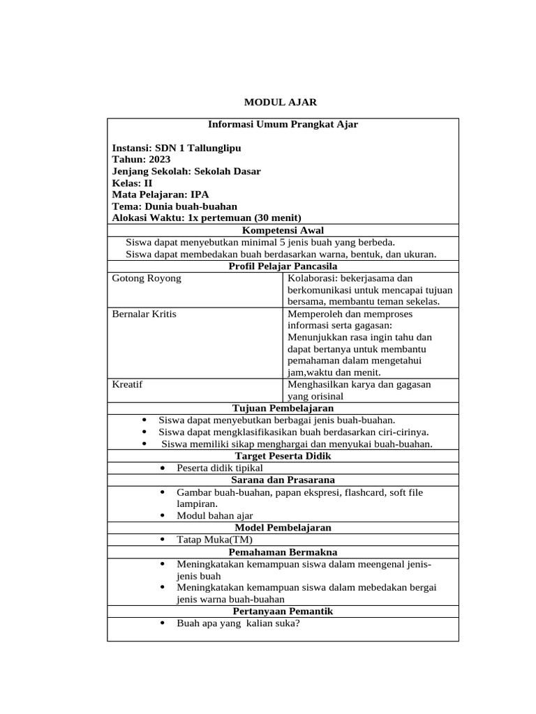 Modul Ajar ABK | PDF