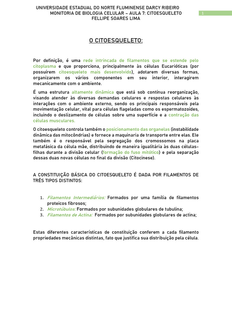 O CITOESQUELETO - BioCel 7 | PDF | Citoesqueleto | Célula (Biologia)