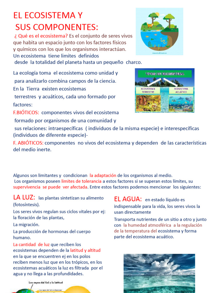 El Ecosistema | PDF | Ecosistema | Suelo