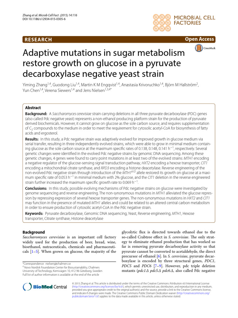 Adaptive Mutations in Sugar Metabolism | PDF | Genetic Code | Mutation