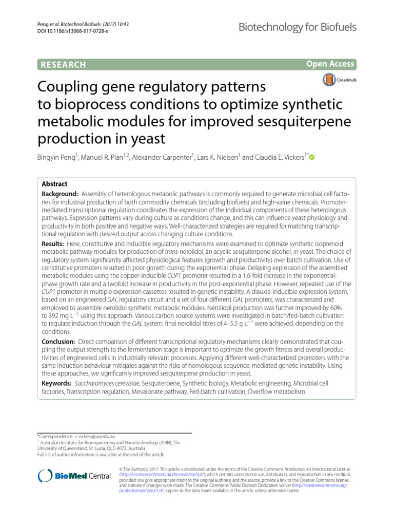 Coupling Gene Regulatory Patterns | PDF | Metabolism | Promoter (Genetics)