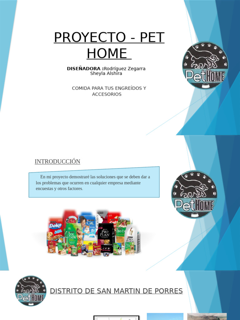 Proyecto - Pet Home: Diseñadora | PDF | Diodo emisor de luz | Encendiendo