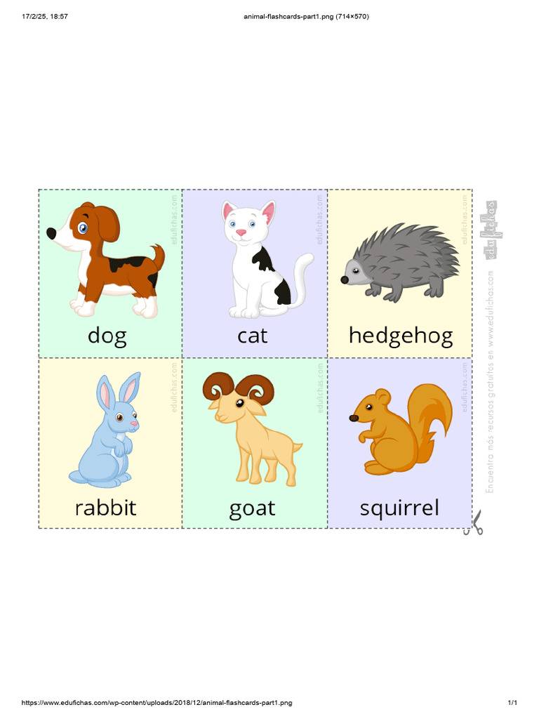 Animal Flashcards Part1 | PDF