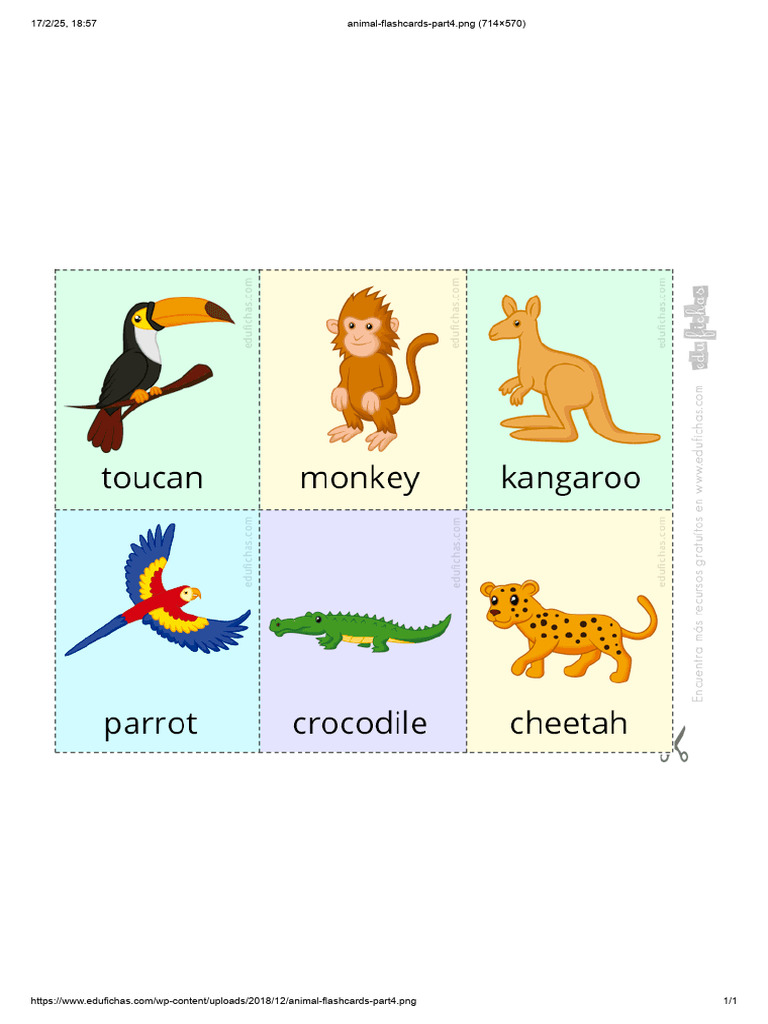 Animal Flashcards Part4 | PDF