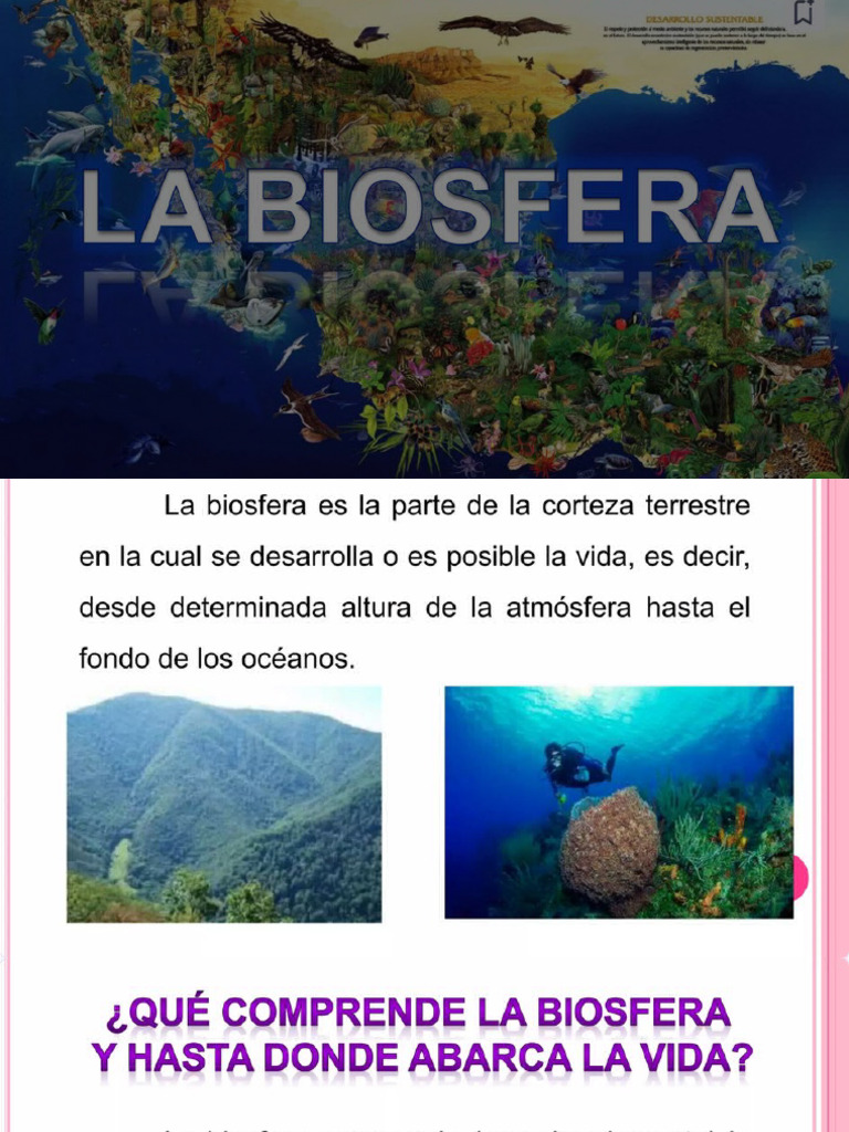 La Biosfera | PDF