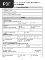 Modelo Cat | PDF