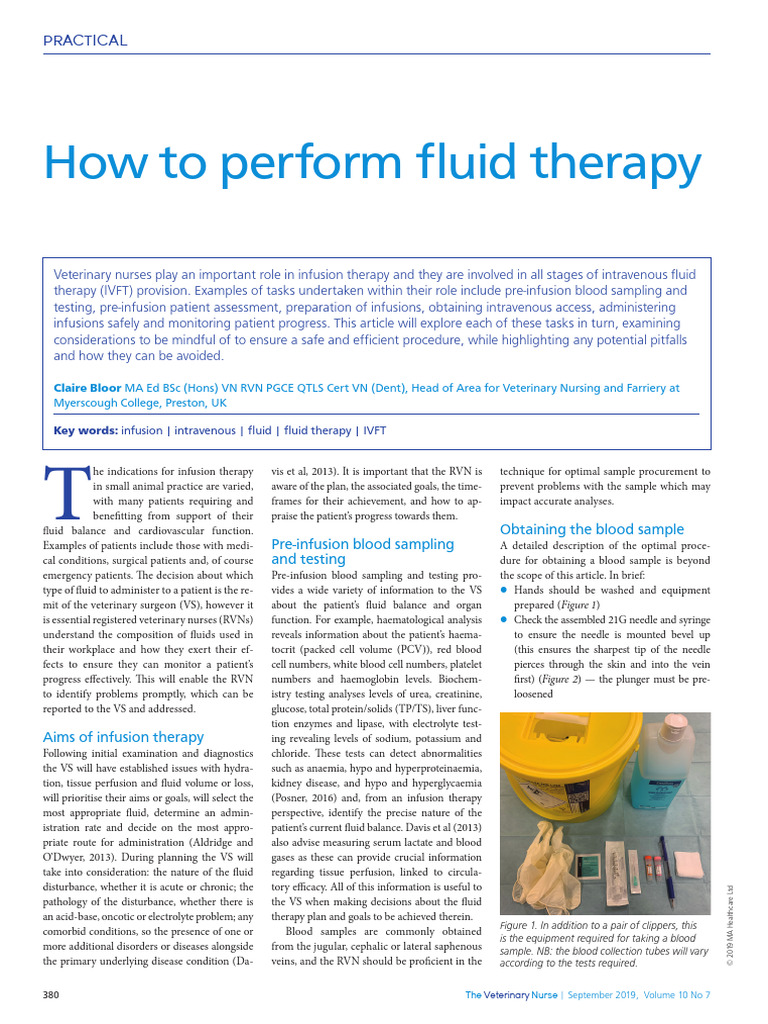 Infusion Therapy in Veterinary Nursing | PDF | Intravenous Therapy ...