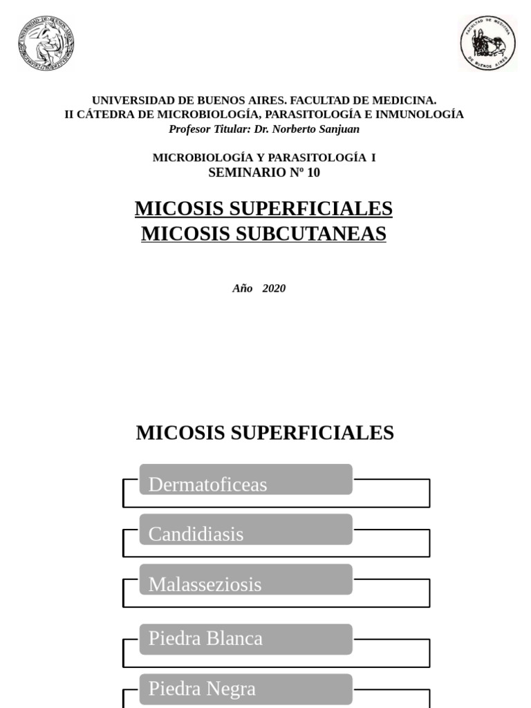 Micosis Superficiales y Subcutáneas | PDF | Micología | Microbiología