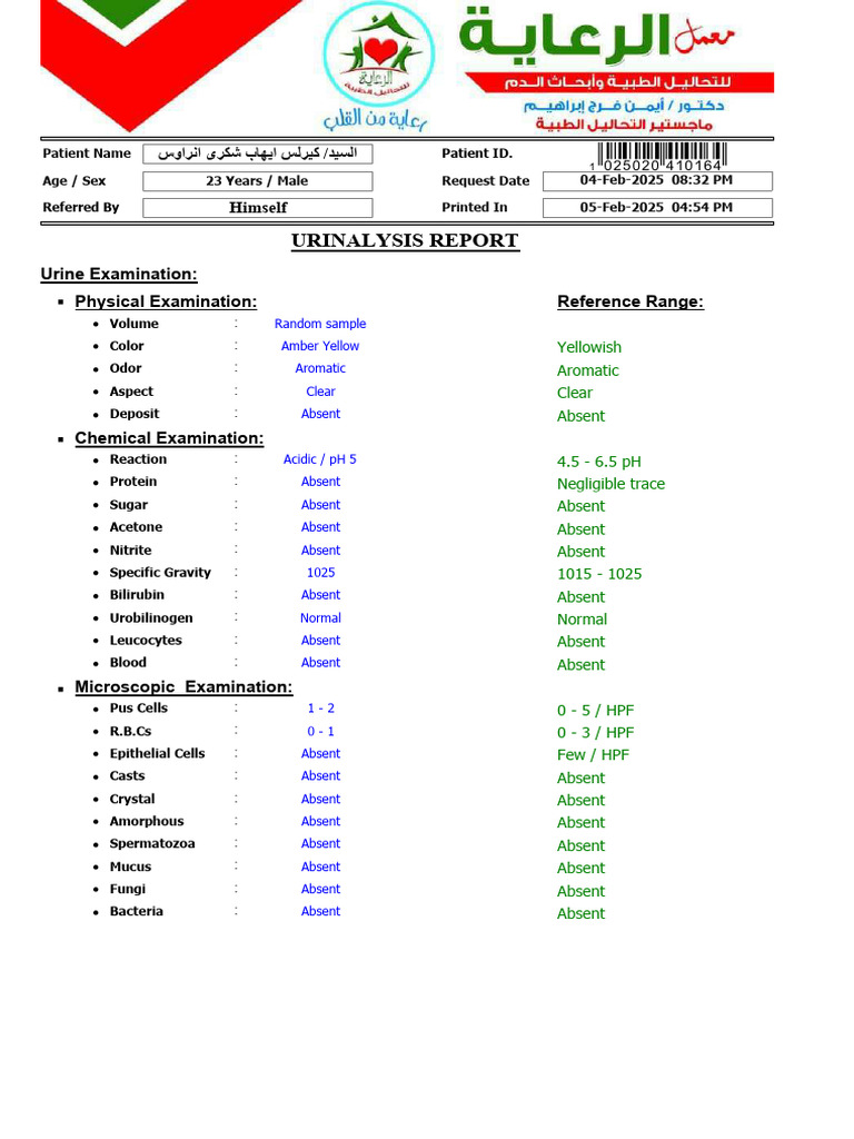Urine Examination Report Summary | PDF