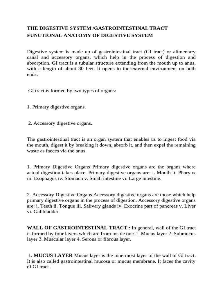 The Digestive System | PDF | Stomach | Human Digestive System