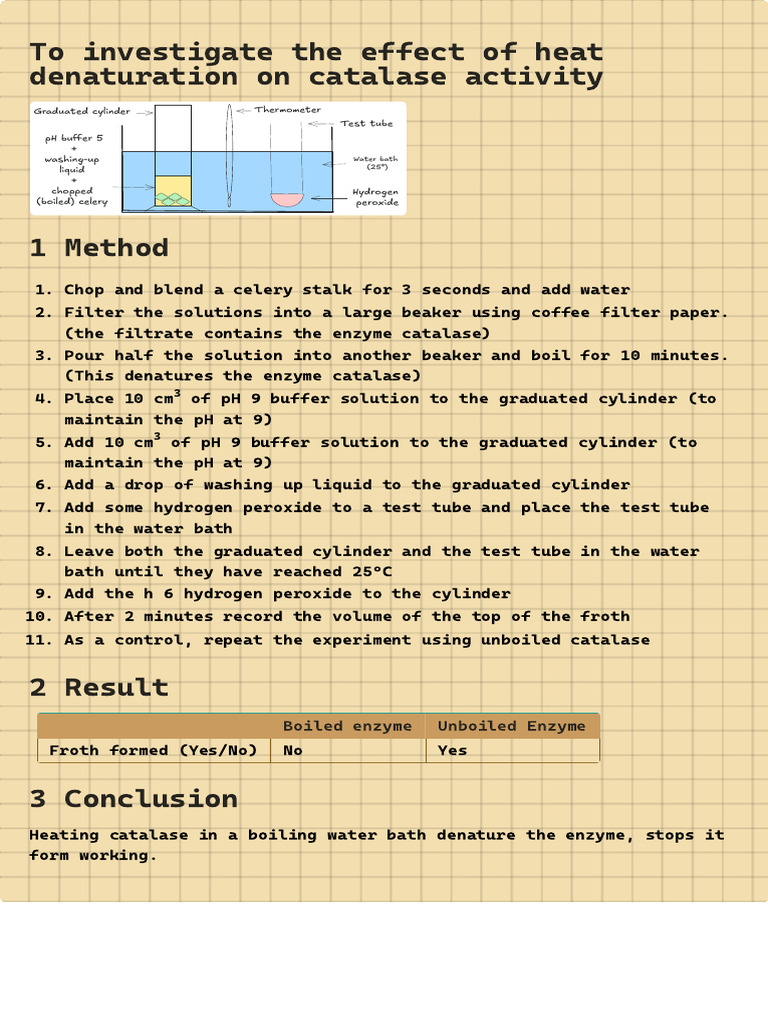 Effect of Heat on Catalase Activity | PDF